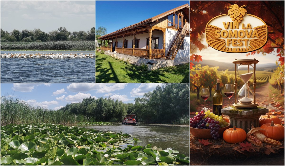 Ce să faci și unde să te cazezi în Somova, "bijuteria" secretă din ...